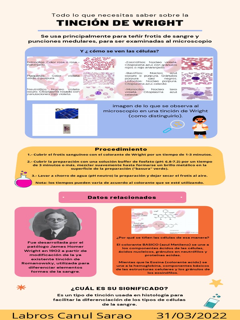Tinción de Wright | PDF | Tinción | Histología