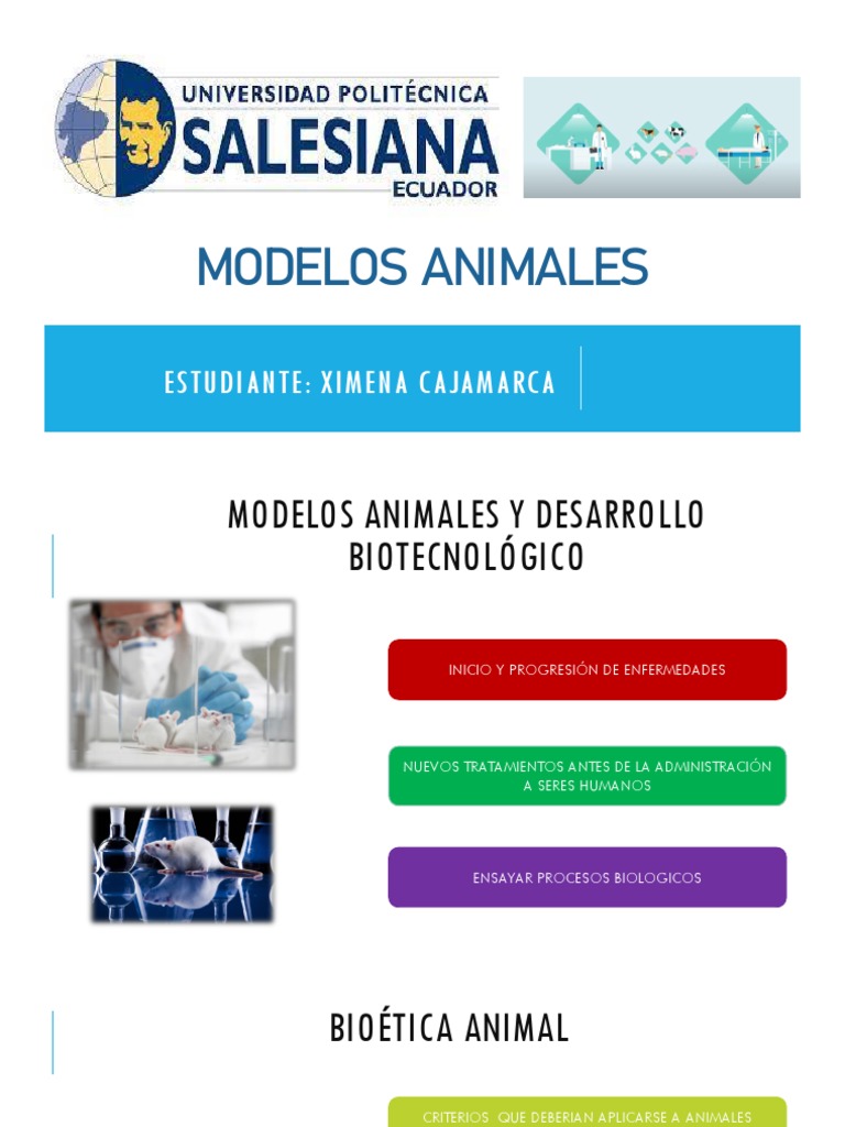 Modelos Animales y Bioética en Investigación | PDF | Biología ...