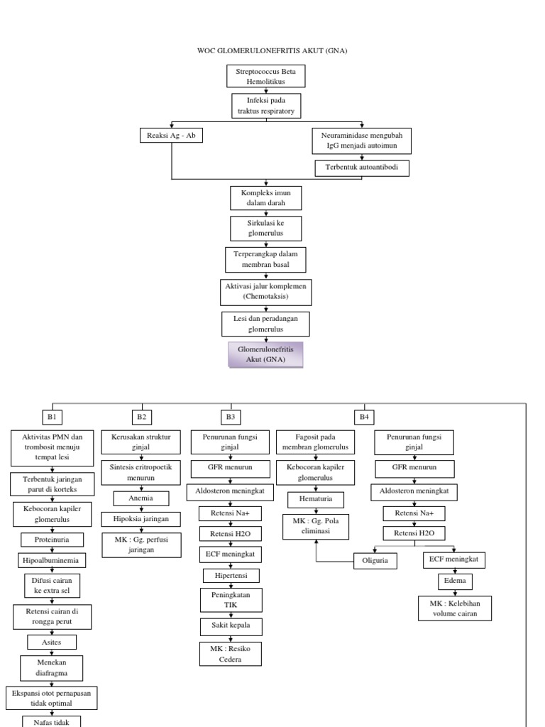 Woc Glomerulonefritis Akut (Gna) | PDF