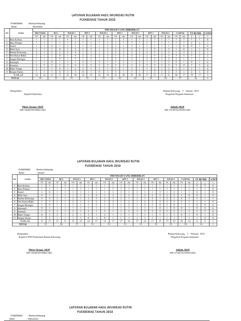 Laporan Imunisasi Rutin 2019 | PDF