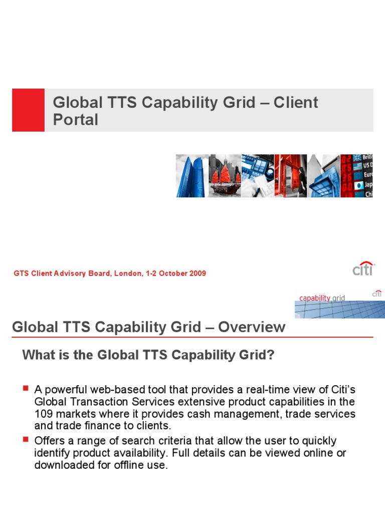 Citi's Global TTS Grid Client Portal | PDF | Citigroup | Customer ...