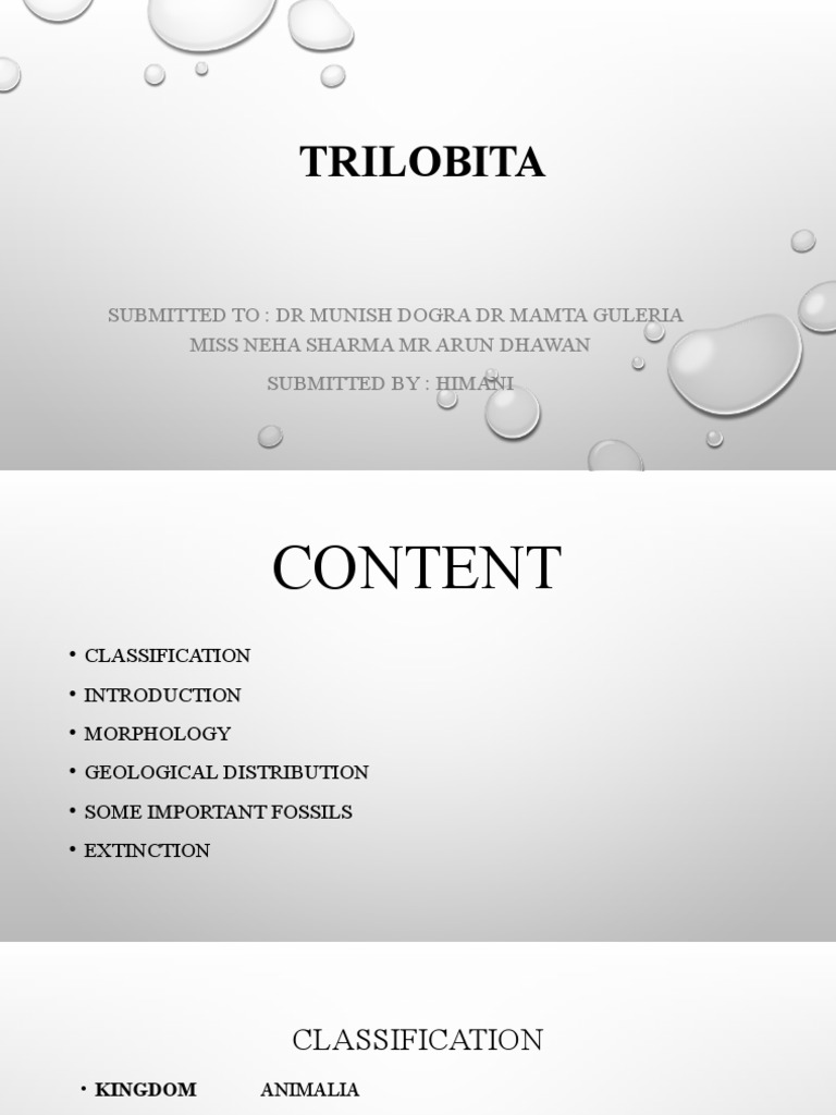 trilobites of phylum Arthropoda | PDF | Paleozoic First Appearances