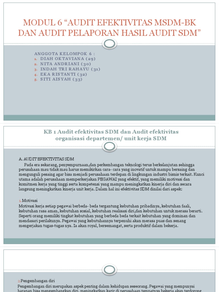 Audit SDM | PDF | Karier & Perkembangan