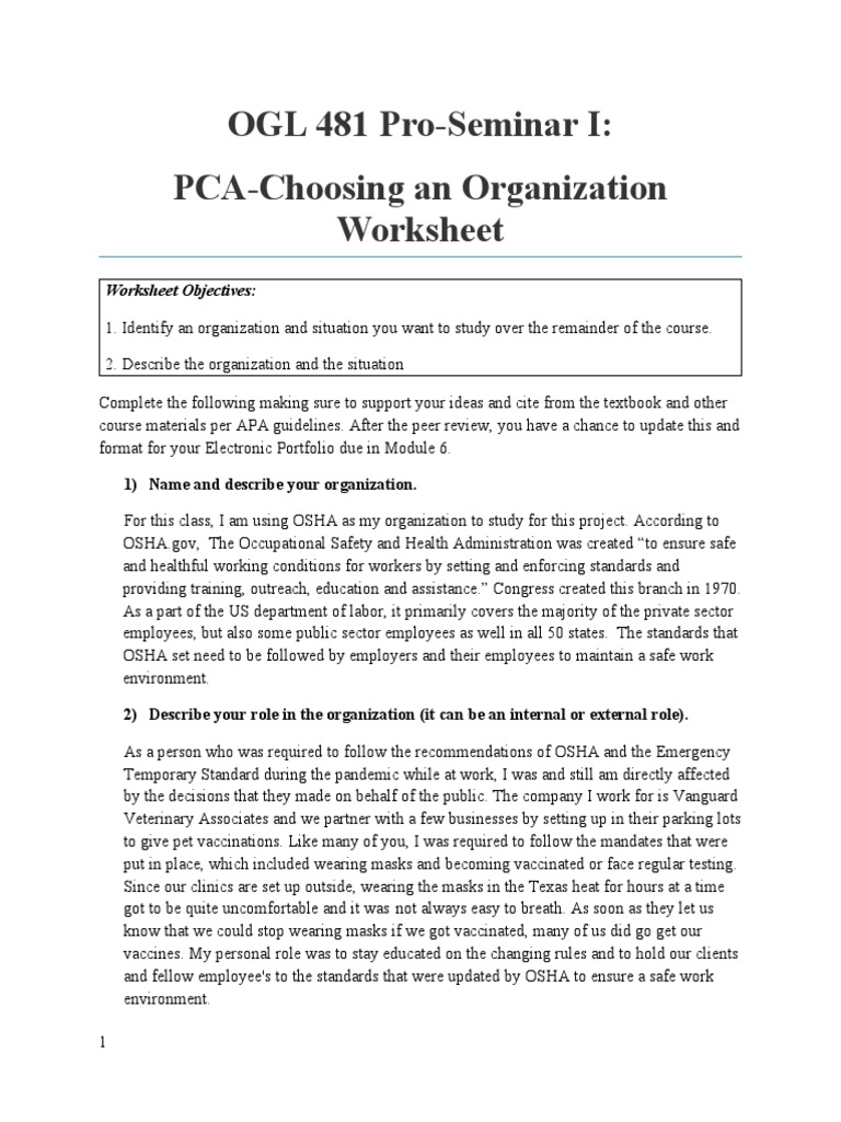 OGL 481 Pro-Seminar I: PCA-Choosing An Organization Worksheet | PDF ...