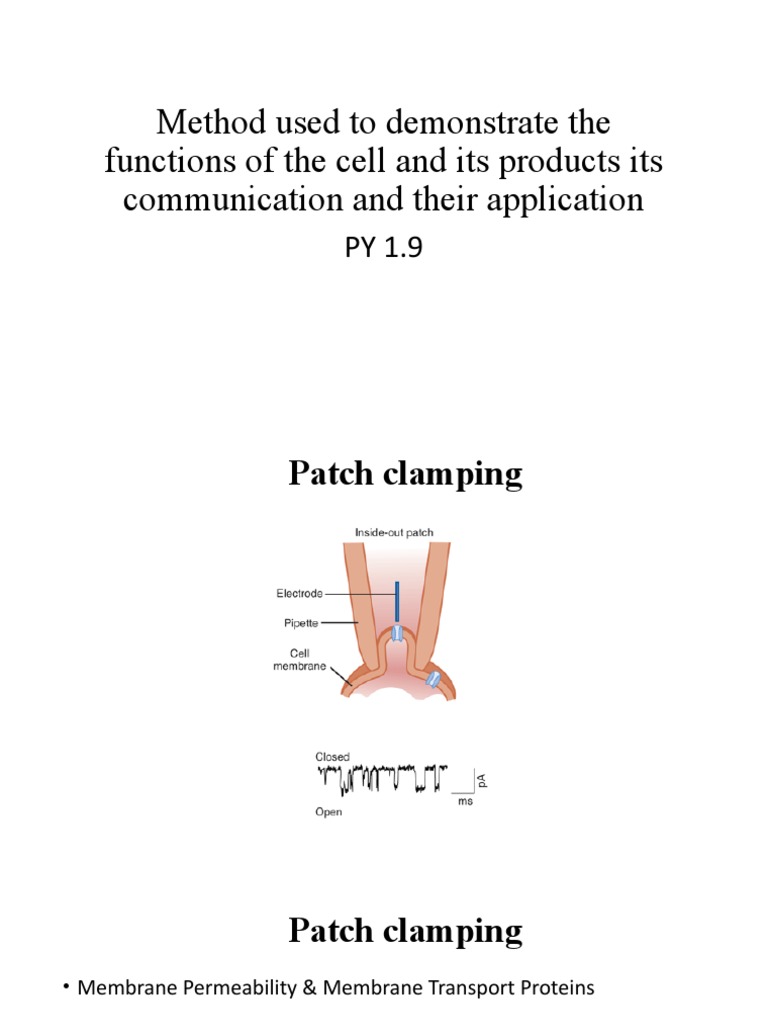 Method Used To Demonstrate The Functions of The | PDF | Cell Biology ...