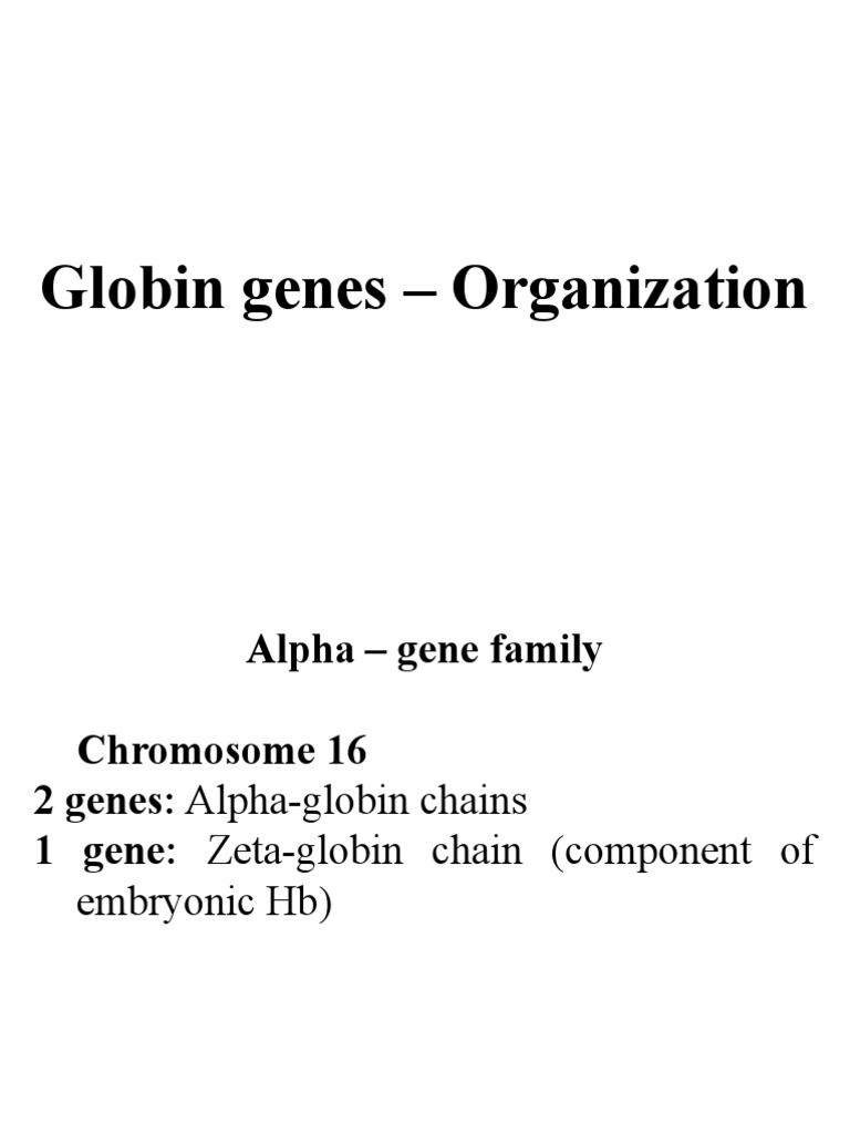 Globin Genes and Thalassemia (Class) | PDF | Gene | Blood
