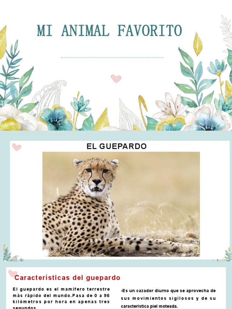 Mi Animal Favorito | PDF