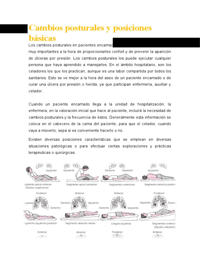 Cambios Posturales y Posiciones Básicas | PDF | Términos anatómicos de ubicación | Abdomen