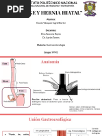 Clasificación Los Ángeles Esofagitis | PDF | Medicina CLINICA ...