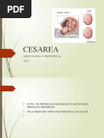 Tipos de Incisiones en Cesárea | PDF | Parto | El embarazo