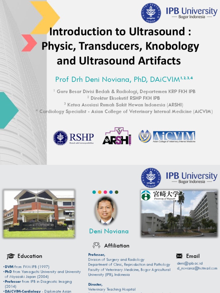 2020 Final Kuliah Pengenalan USG Dan Prinsip Pemeriksaan USG UWKS | PDF