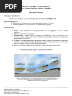 Grade 11 STEM Reviewer | PDF