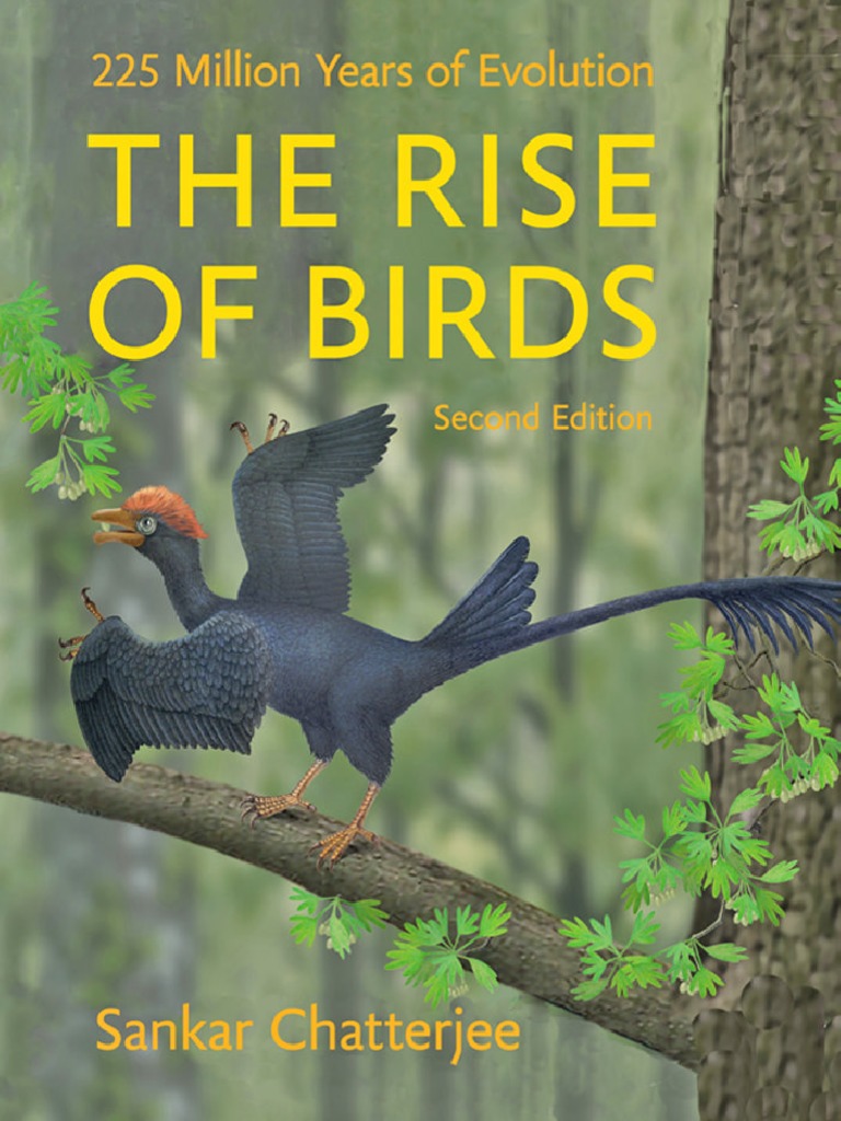 The Rise of Birds - 225 Million Years of Evolution | PDF | Mount ...