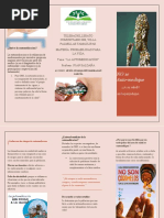 Flevomax 500mg Prospecto | PDF | Amamantamiento | El embarazo