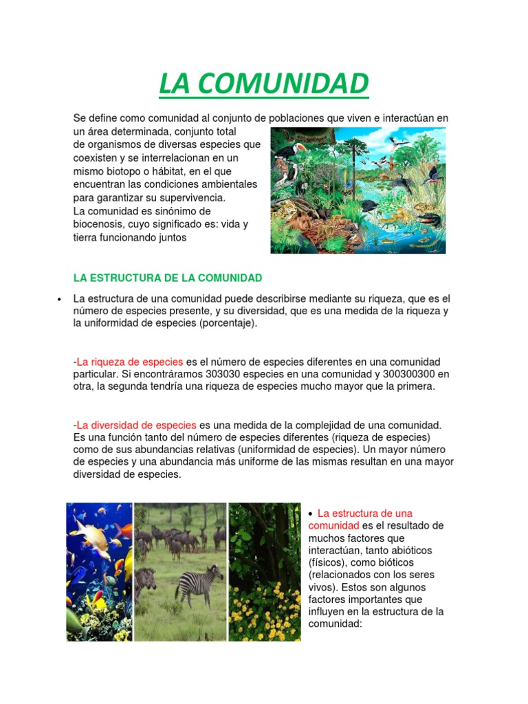La Comunidad, Conceptos | PDF | Estrato | Ecosistema