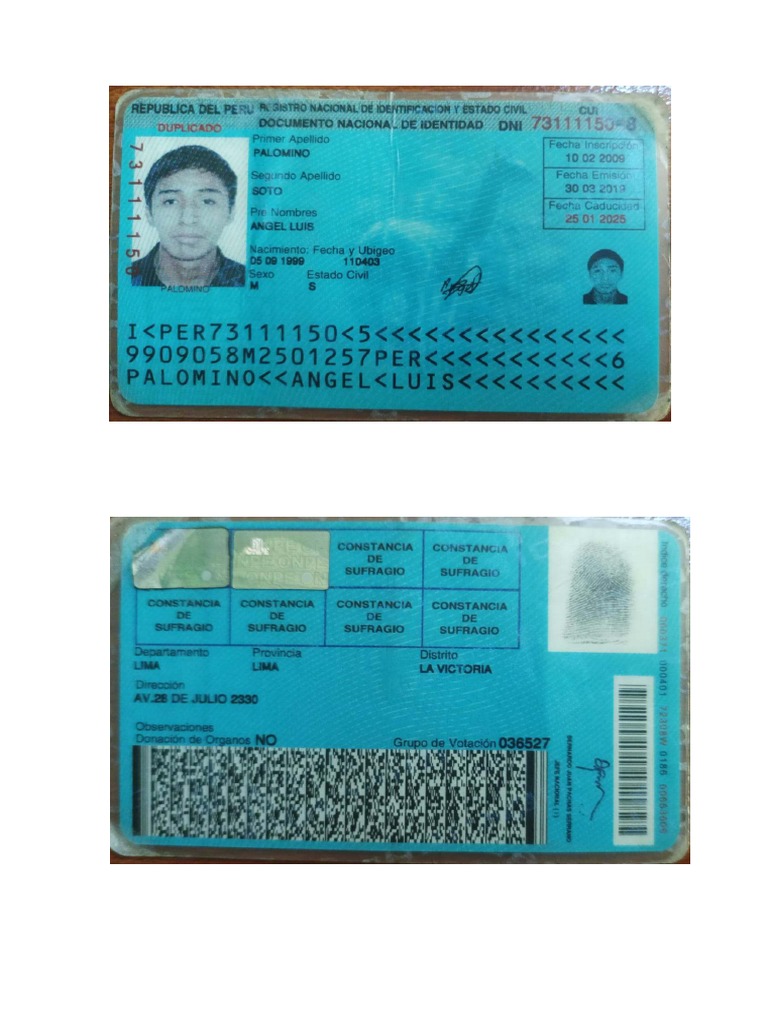 Constancia de Aseguramiento VYP ICE SAC | PDF