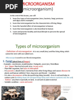 Year 7 - Microorganisms | PDF | Microorganism | Bacteria