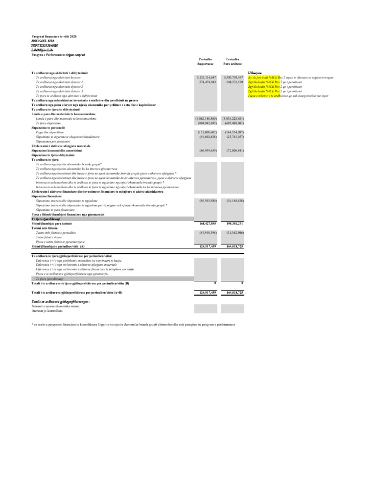 Pasqyra e Performancës (Pasqyra e Të Ardhurave Dhe Të Shpenzimeve ...