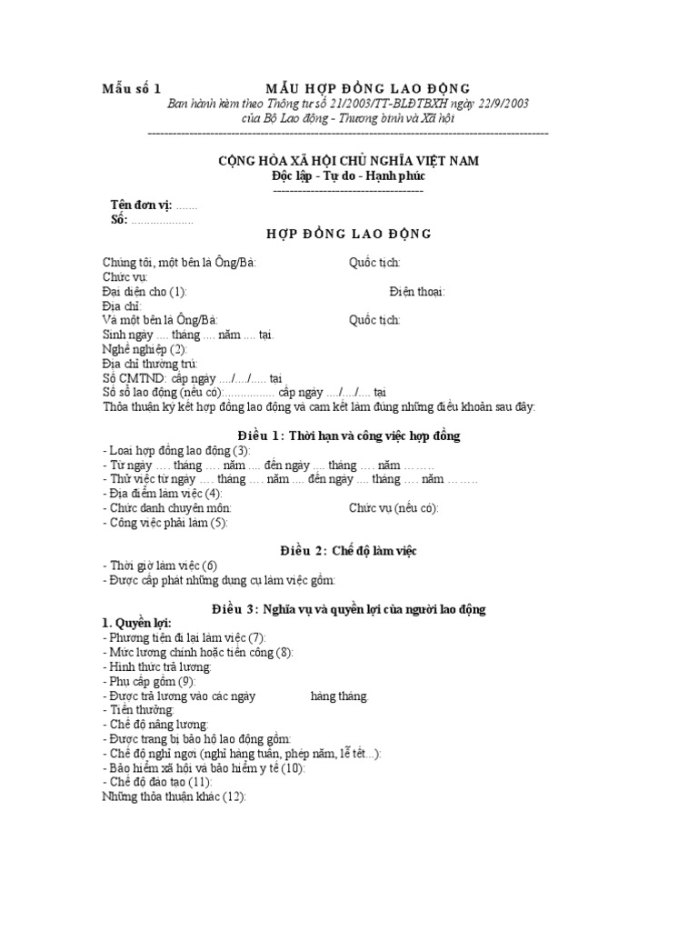 Mau Hop Dong Lao Dong | PDF
