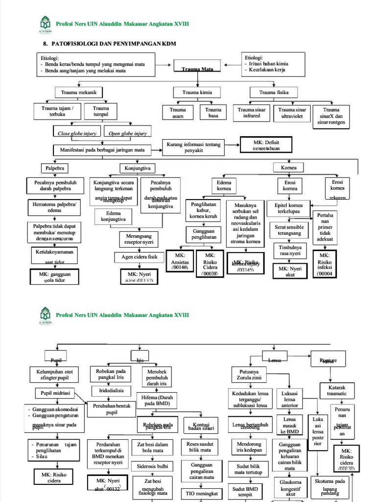 PDF Pathway Trauma Okuli DL | PDF