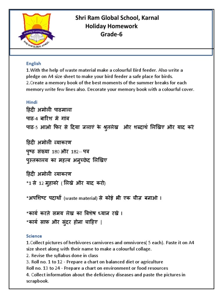 Grade 6 Holidays Homework | PDF