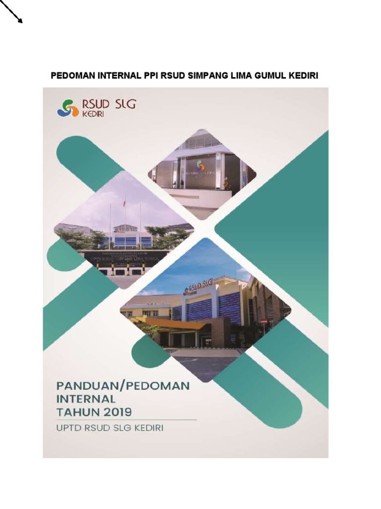 Pedoman Pelayanan Ppi | PDF