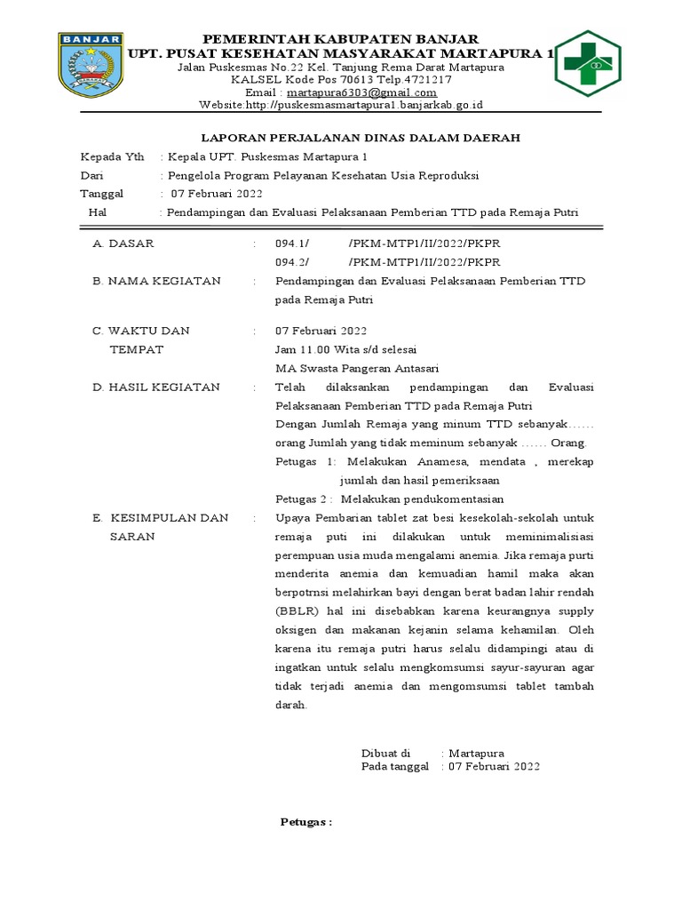 Evaluasi Pemberian TTD Remaja Putri | PDF | Kesehatan Holistik