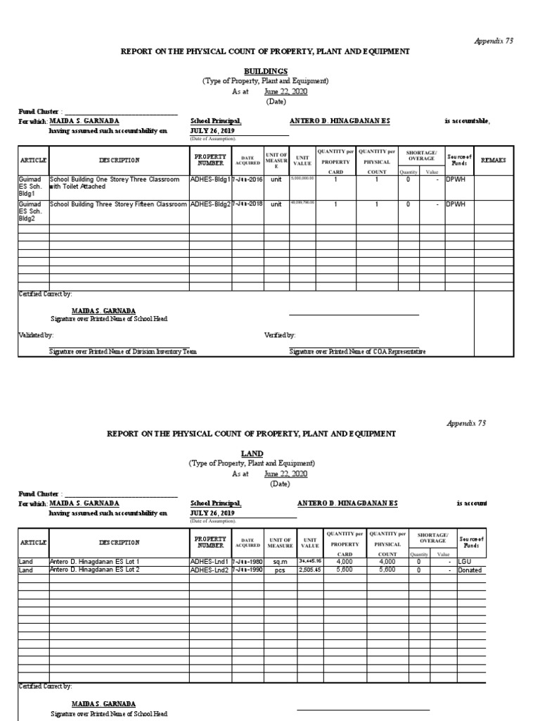 Aaa RPCPPE & RPCI For School Heads Sample Entry | PDF | Laptop ...