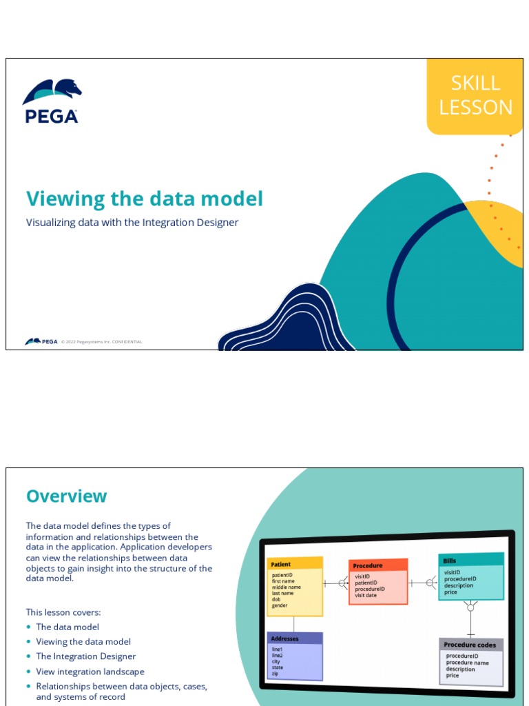 DM Viewing The Data Model | PDF | Databases | Data Model