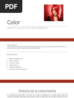 Guía Completa de Colorimetría Capilar | PDF | Color | Amarillo