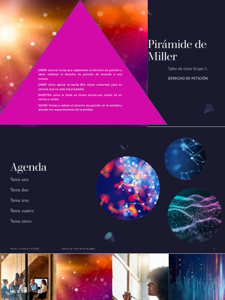 Pirámide de Miller | PDF | Software | Informática