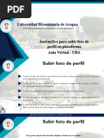 Cambio de Foto en Aula Virtual | PDF