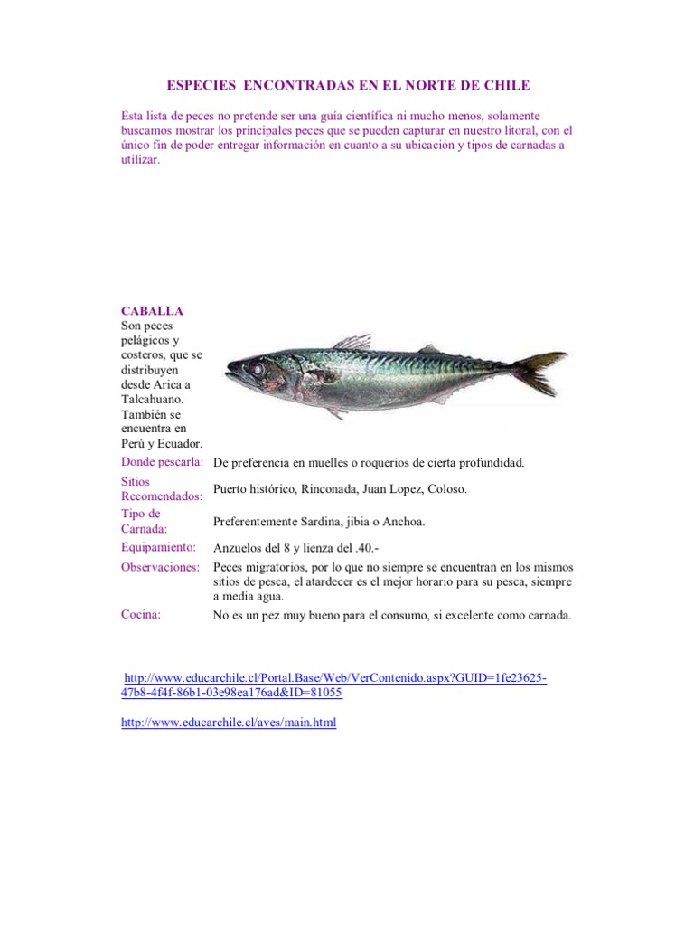 Peces Chilenos | PDF | Costa | Chile