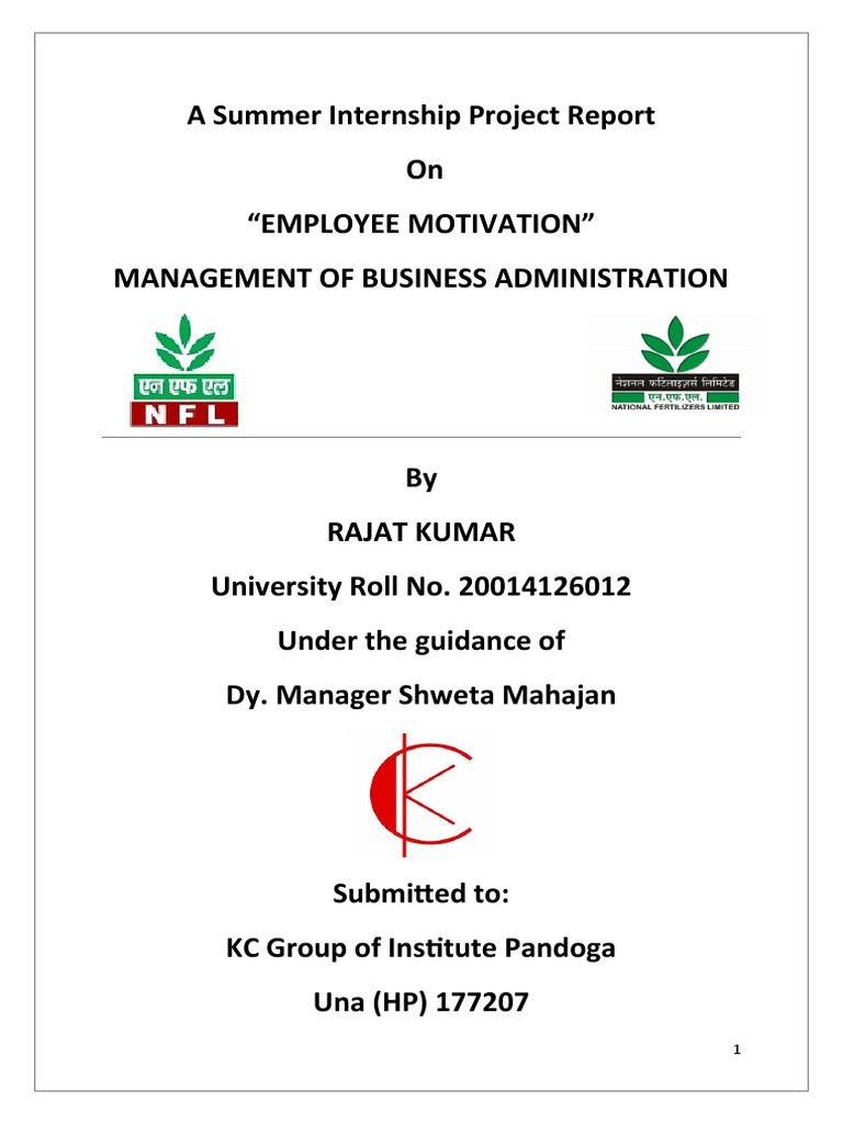 Rajat Employee Motivation Project Report | Download Free PDF ...