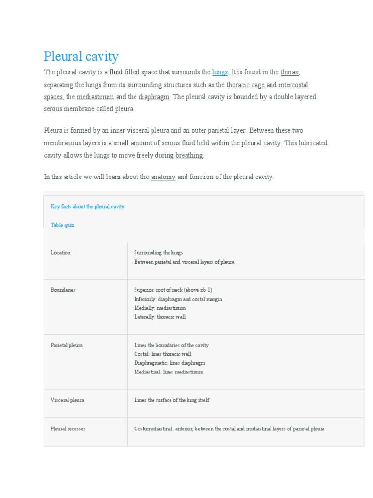 Anatomy and Function of the Pleural Cavity: A Comprehensive Review of ...