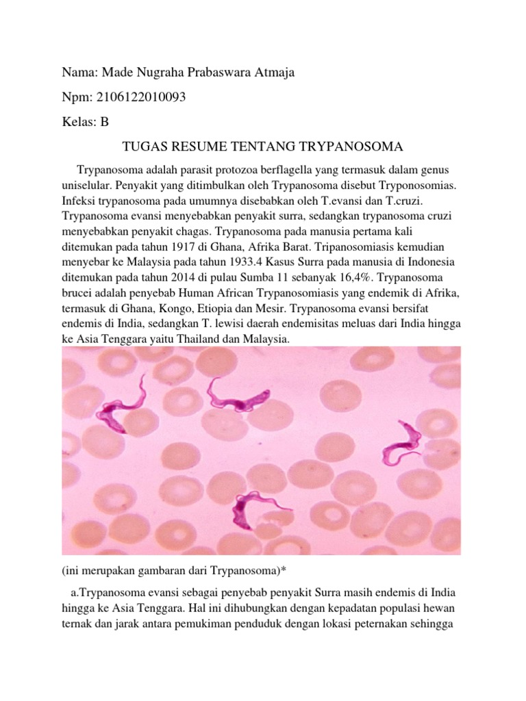 2106122010093-Made Nugraha Prabaswara Atmaja | PDF 2106122010093-Made Nugraha Prabaswara Atmaja | PDF
