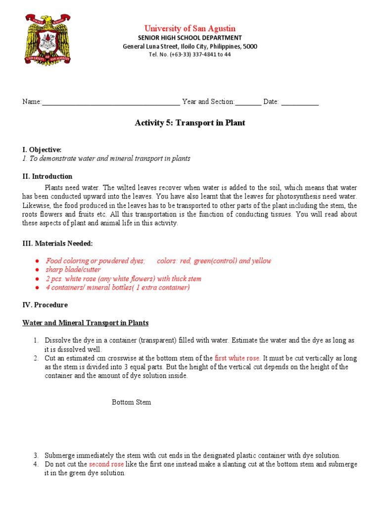 Activity 6. Plant Transport Cycle 25 | PDF | Leaf | Plants