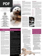 Dog Breeding Guidance Notes | PDF | License | Dogs