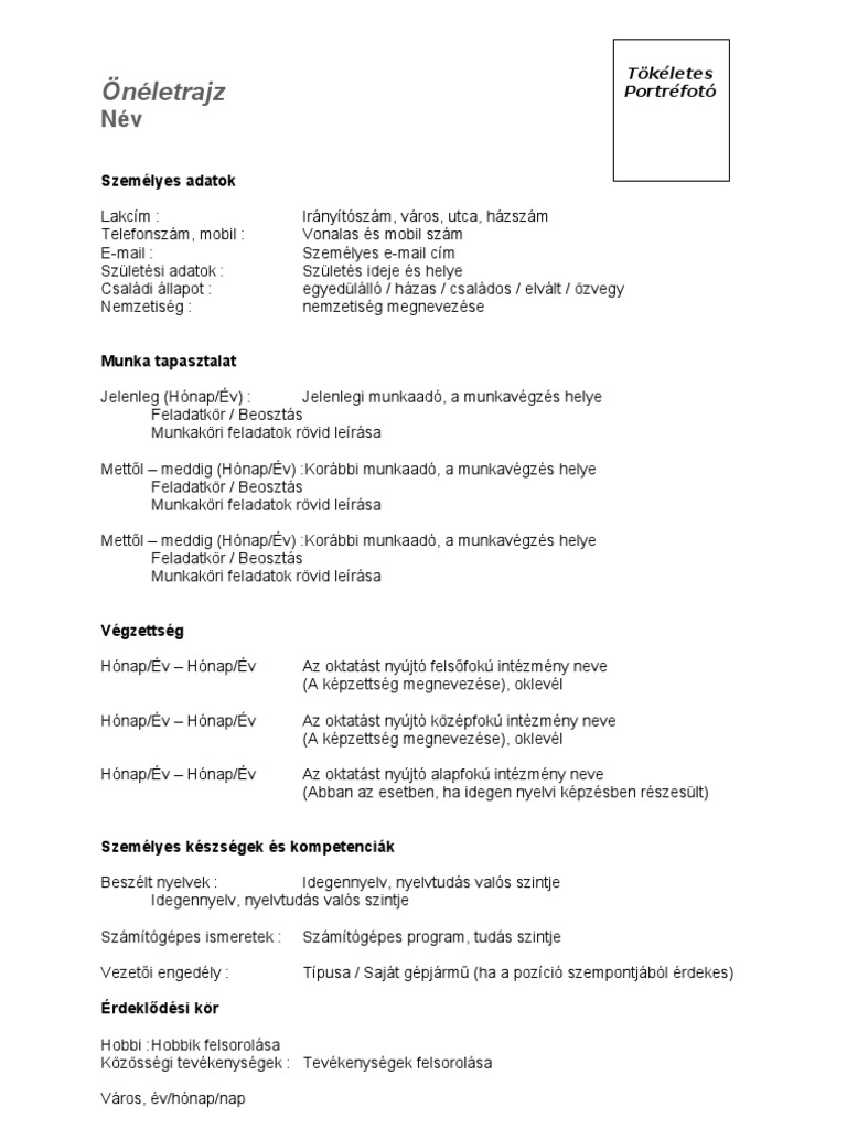 CV Minta | PDF