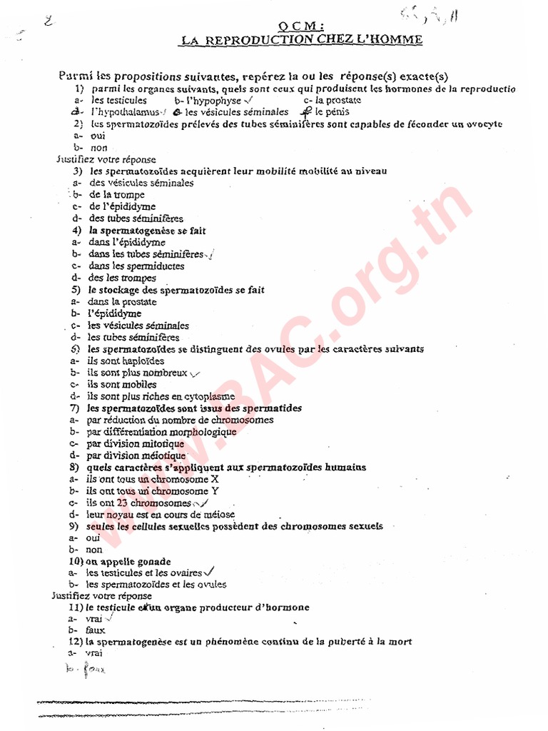 37 QCM Sur Reproduction Humaine Bac Sciences | PDF | Anatomie sexuelle ...