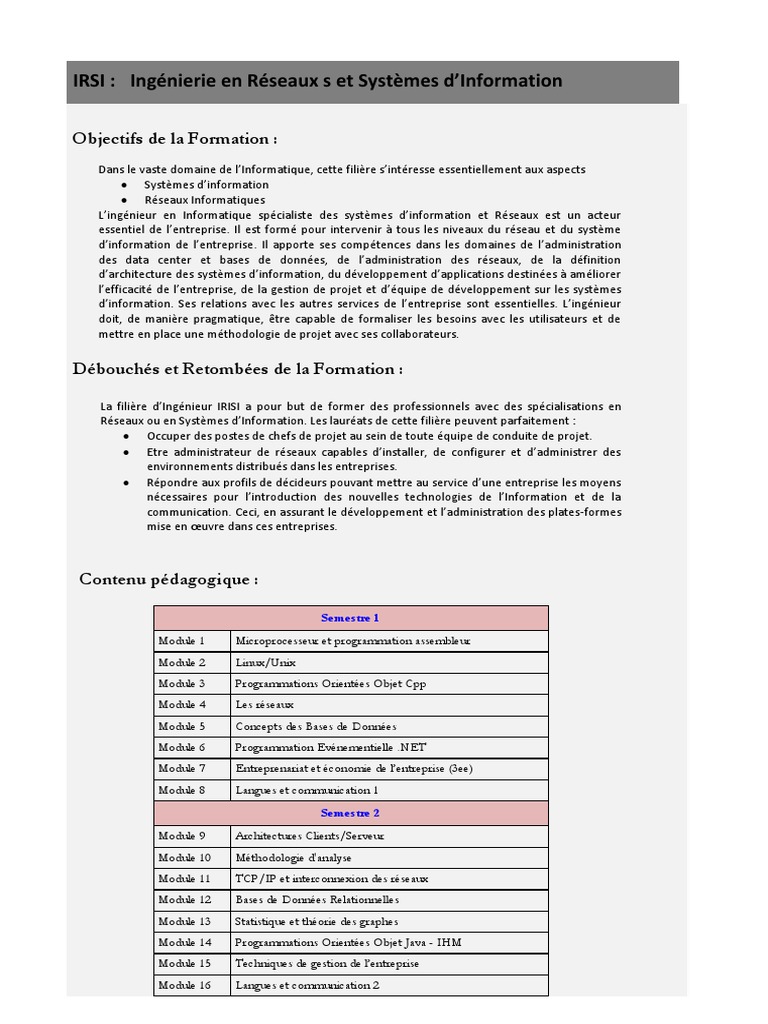 Formation Ingénieur en Réseaux et SI | PDF | Informatique | Système d ...