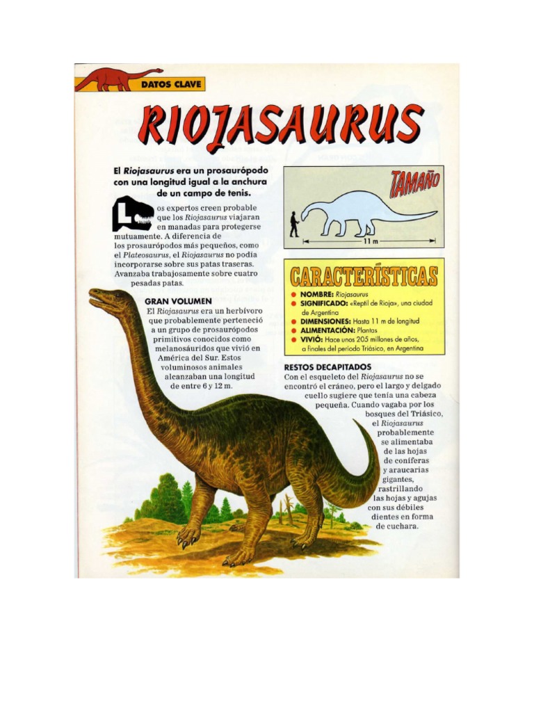 RIOJASAURUS | PDF