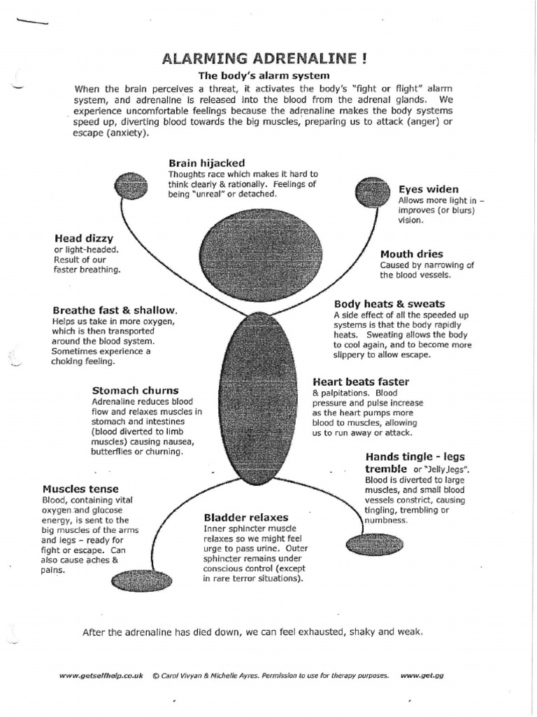Physiological Response Anxiety - Alarming Adrenaline | PDF