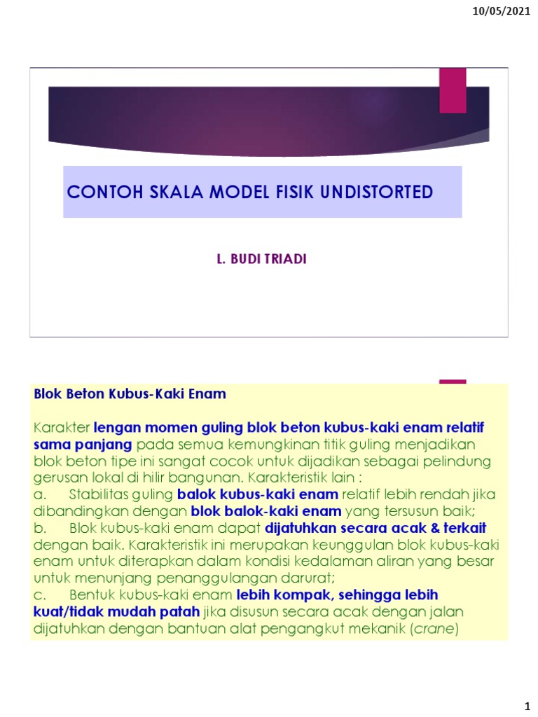 Contoh Skala Model Fisik Undistorted | PDF