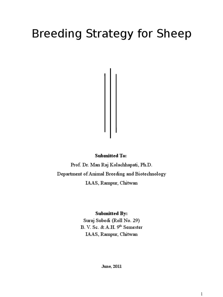 Breeding Plan For Sheep | PDF | Sheep | Wool