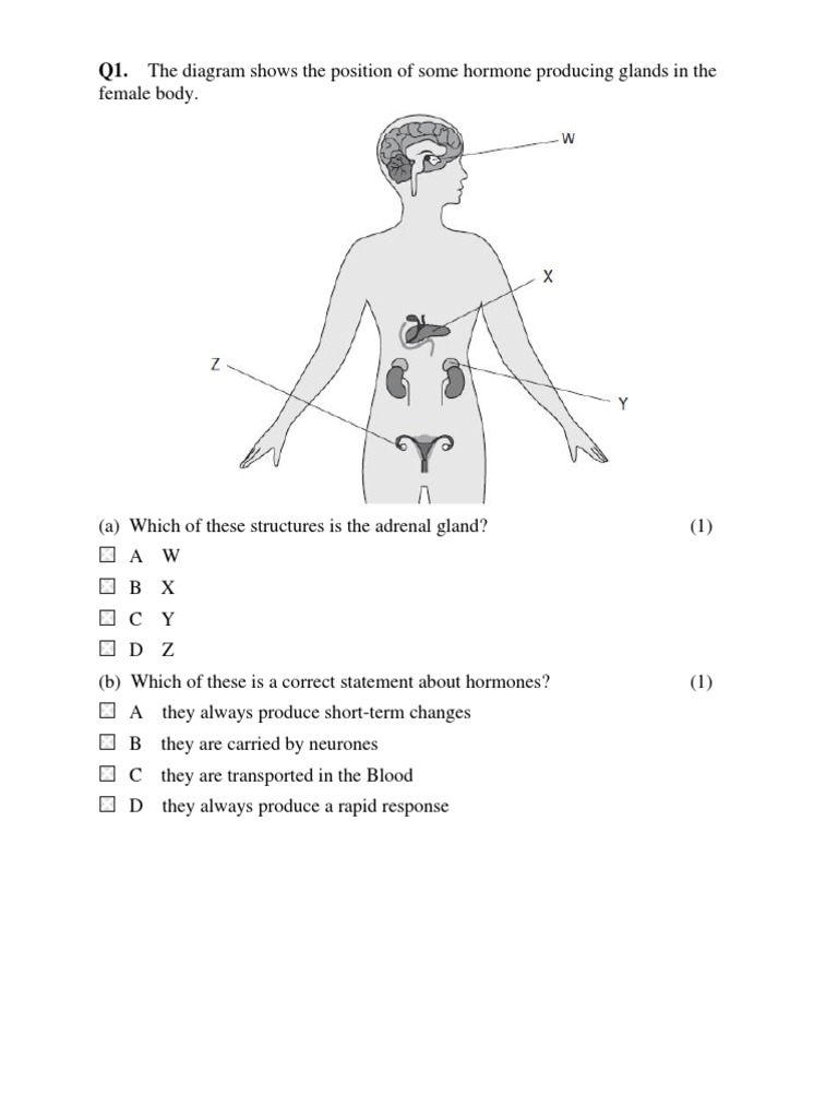 Grade 9D Final Exam | PDF | Organ (Anatomy) | Kidney