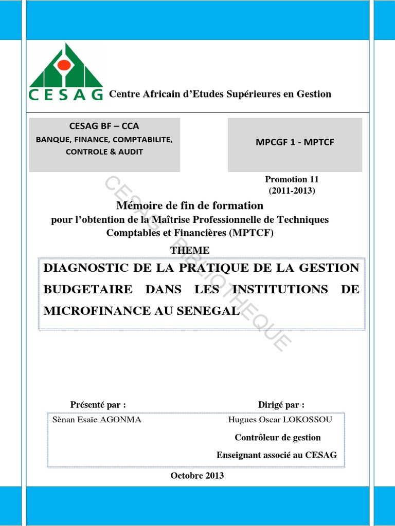 Cesag - Bibliotheque: Diagnostic de La Pratique de La Gestion ...