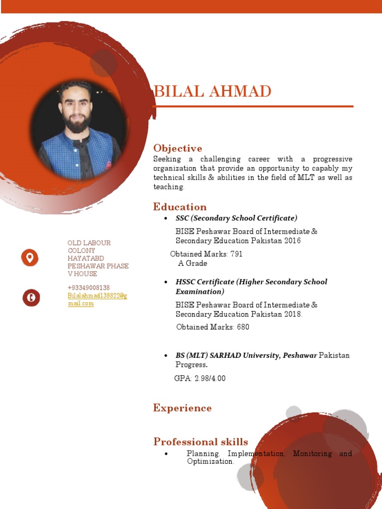 BILAL CV | PDF