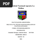 Endogamia y Heterosis | PDF | Endogamia | Siembra