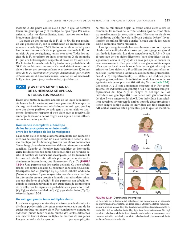 Alelos Multiples | PDF | Dominancia (Genética) | Alelo